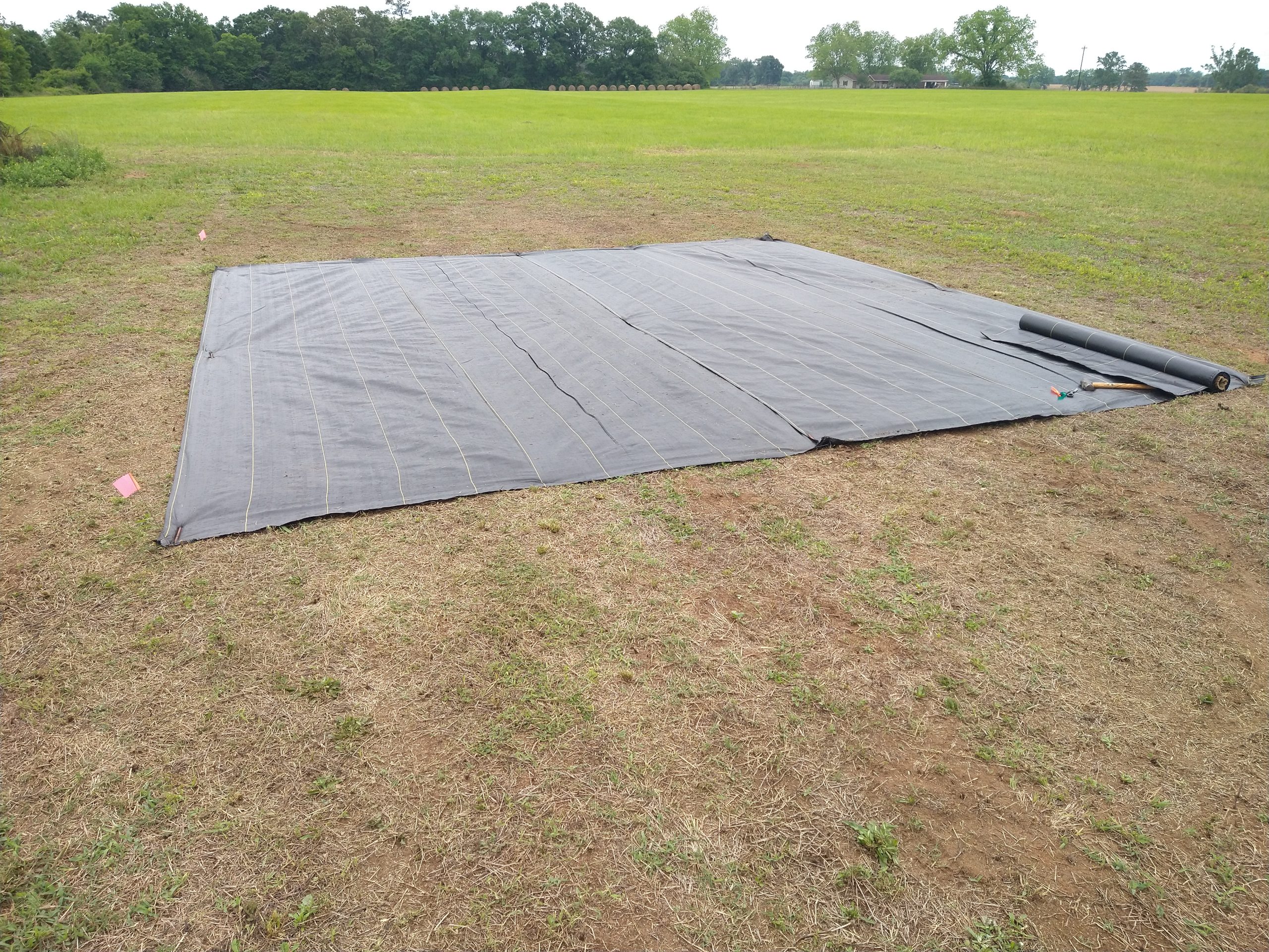 What the heck is this? – Avalon Farms